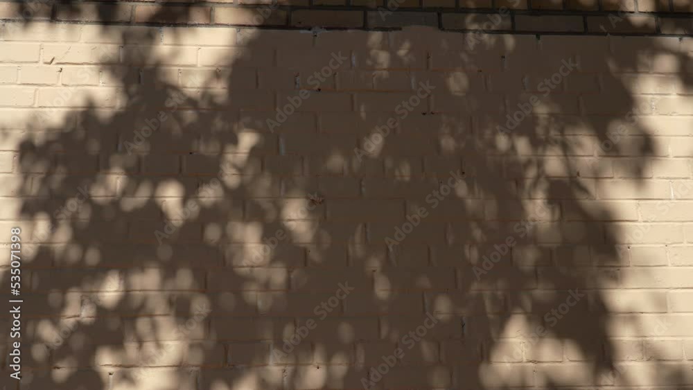 Flickering shadows of leaves of tree on brick wall in sunlight ...