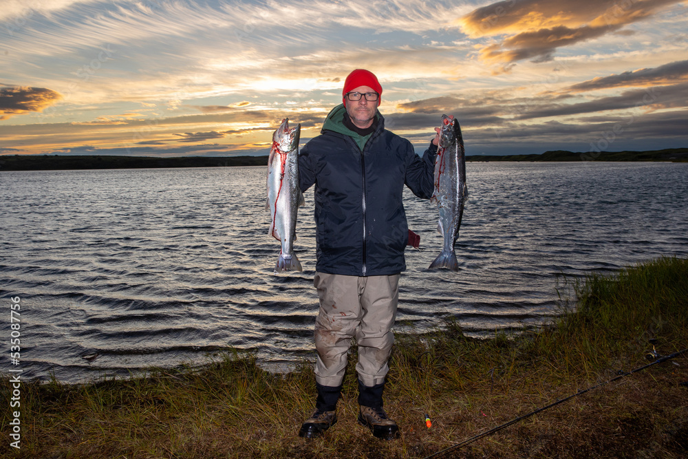 Fisherman holding two fresh caught Coho salmon fish at the Egegik river ...