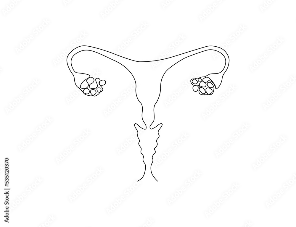 Continuous one line drawing of Ovarium Organ. Human ovarium line art ...