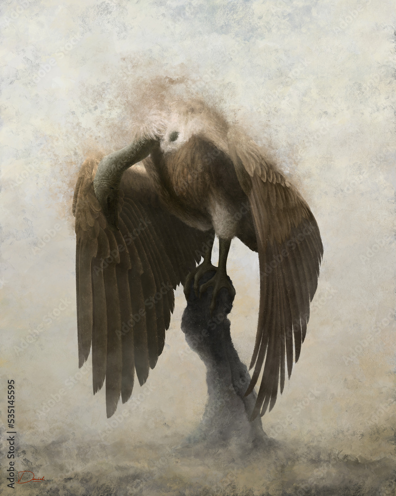 Slender Billed Vulture
