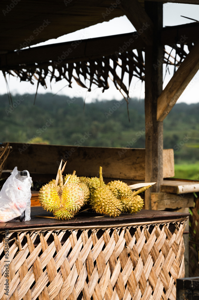 Durian Ernte Stock Photo | Adobe Stock