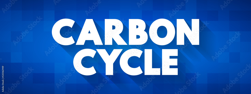 Carbon Cycle - process in which carbon atoms continually travel from ...