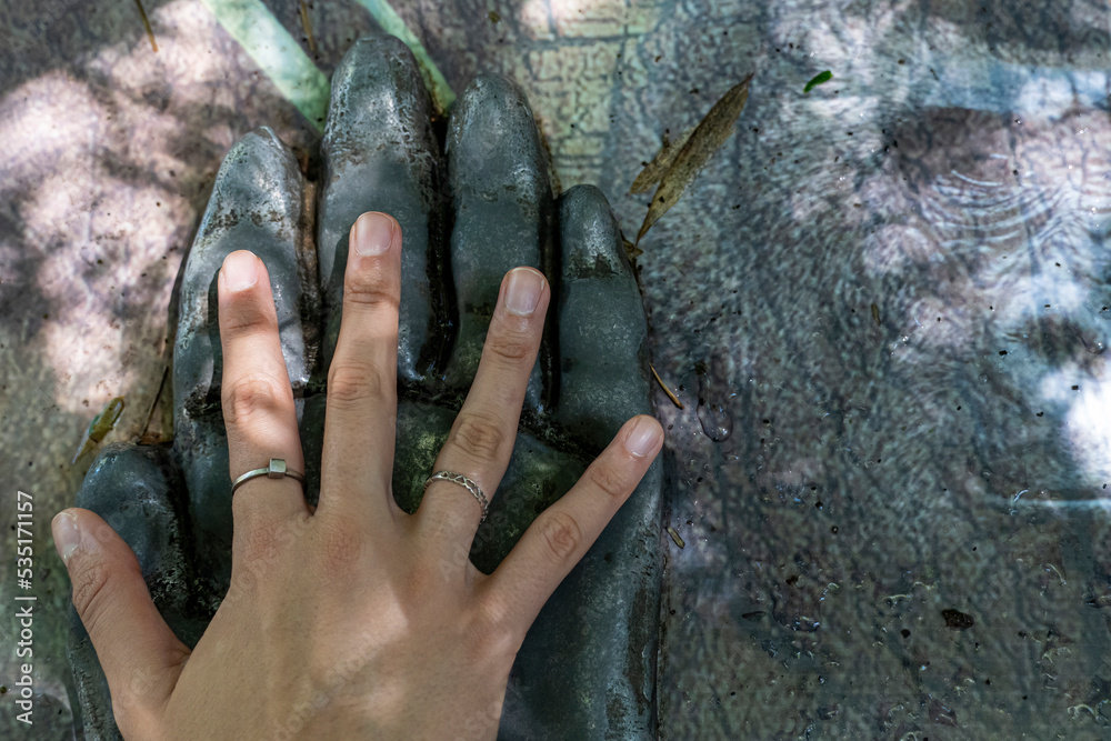 comparison of the size of a human hand to the hand of a monkey ...