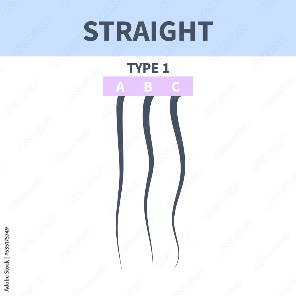 Straight hair type classification system set. Detailed human hair ...