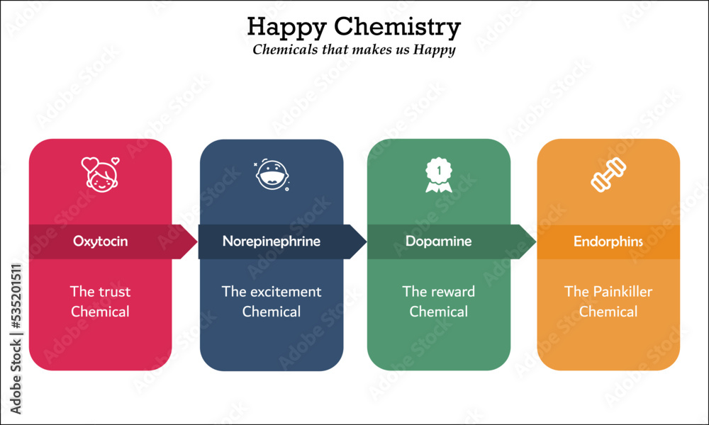 Types Of Happy Chemistry and it's details with icons in an infographic ...
