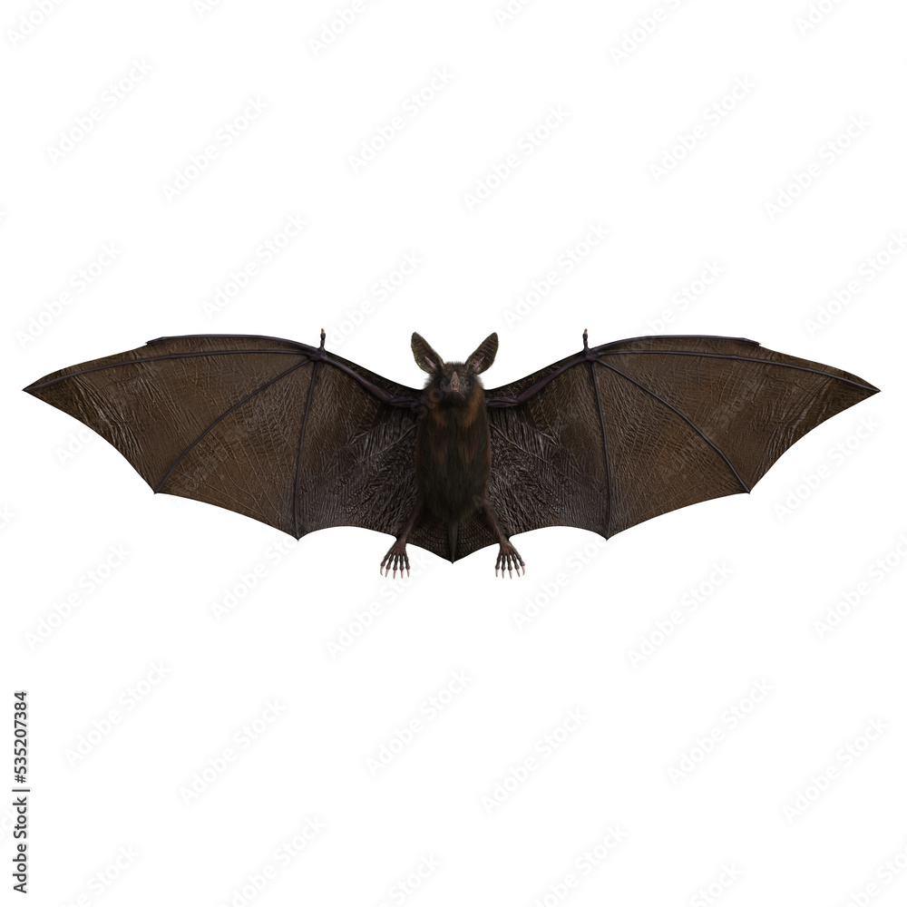 Halloween Vampire Bat on PNG Transparent Background Stock Illustration ...