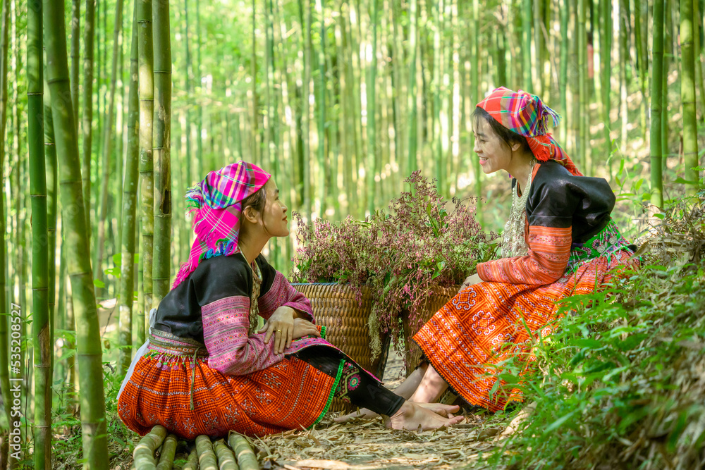 People H'mong ethnic minority with colorful costume dress walking in ...