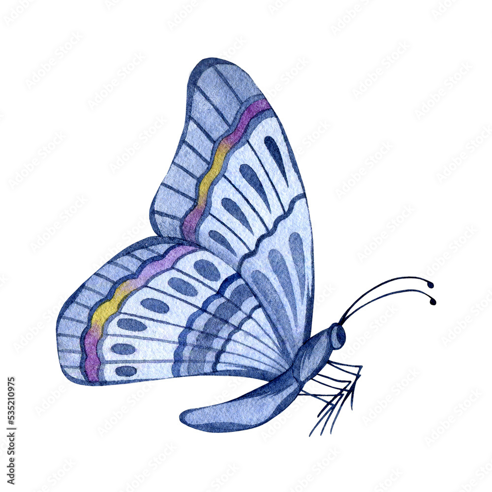 Watercolor butterfly clip art isolated on white background. Hand drawn ...