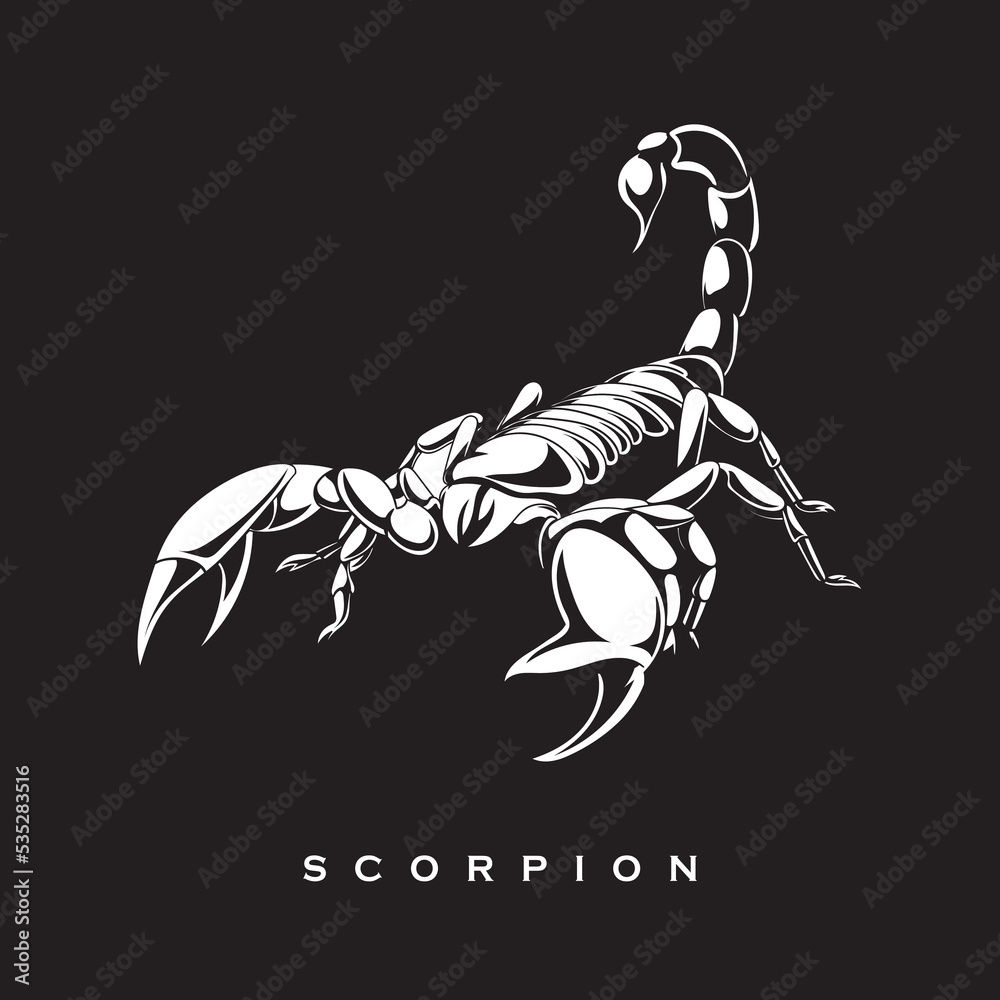 Hand drawing scorpion vector illustration. Black and white Stock Vector ...