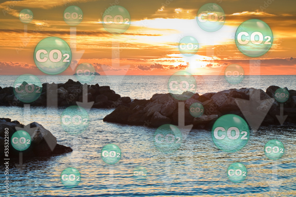 Recent scientific research shows that 1/3 of anthropogenic CO2 Carbon ...