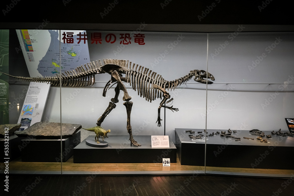 Fotografia do Stock: Fukui, Japan - February 22 2016, Fukuisaurus ...