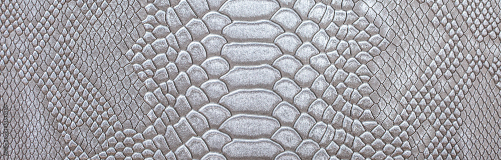 Beautiful white bright python skin, reptile skin texture, snake skin ...