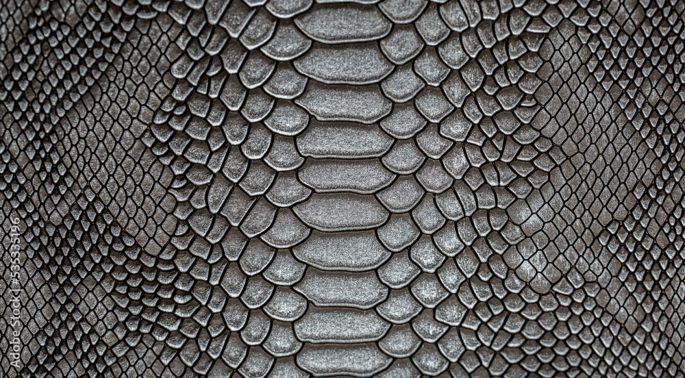 Beautiful dark gray python skin, reptile skin texture, snake skin close ...