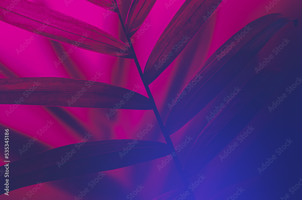 Neon vibe floral background. Purple dark palm tree leaves and shadows ...