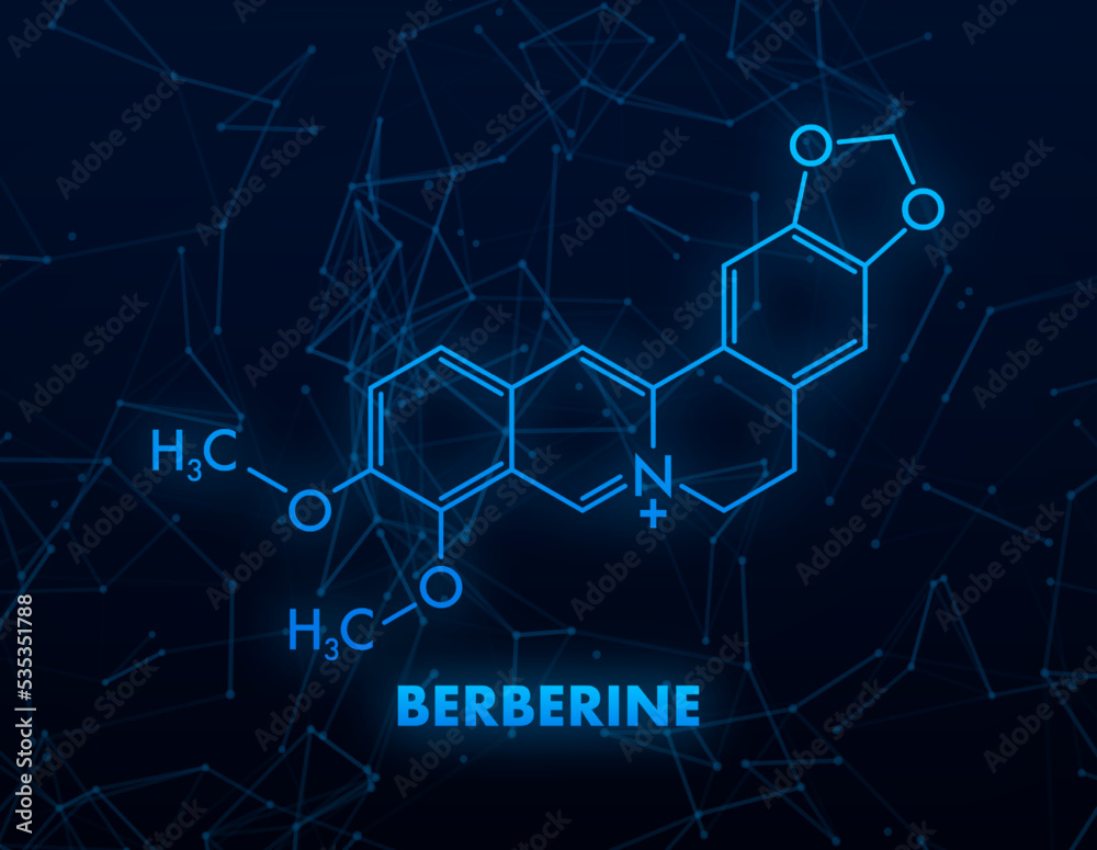 Berberine concept chemical formula icon label, text font vector ...