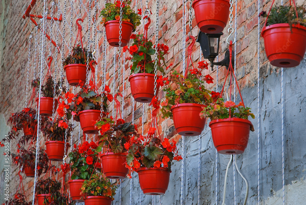 Different types of flowers grow in red flowerpots hanging on chains ...