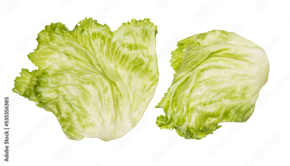 Levitating iceberg cabbage leaves isolated on white background. iceberg ...