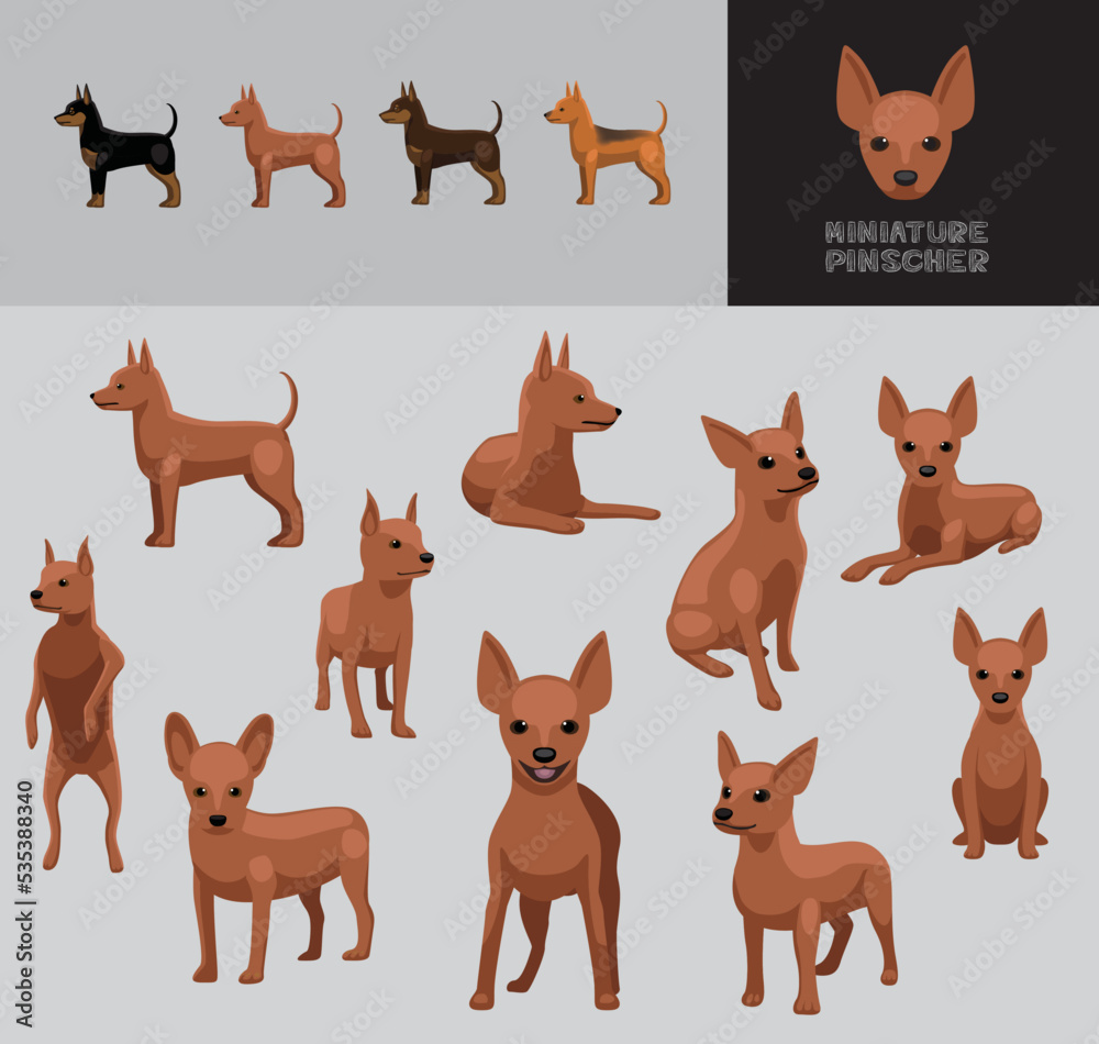 Dog Miniature Pinscher Brown Coat Cartoon Vector Illustration Color ...