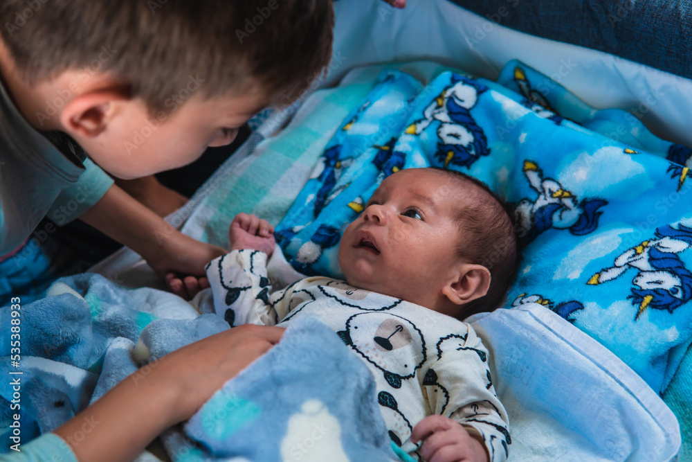 High quality photography. Two little brothers. A blond Caucasian boy ...