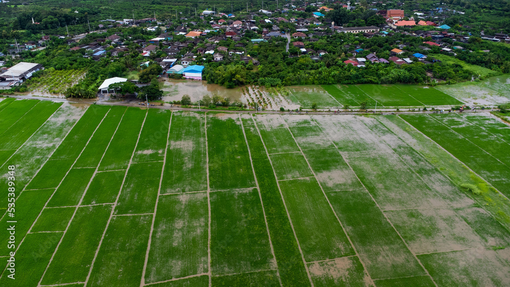 Aerial view of paddy fields or agricultural areas affected by rainy ...