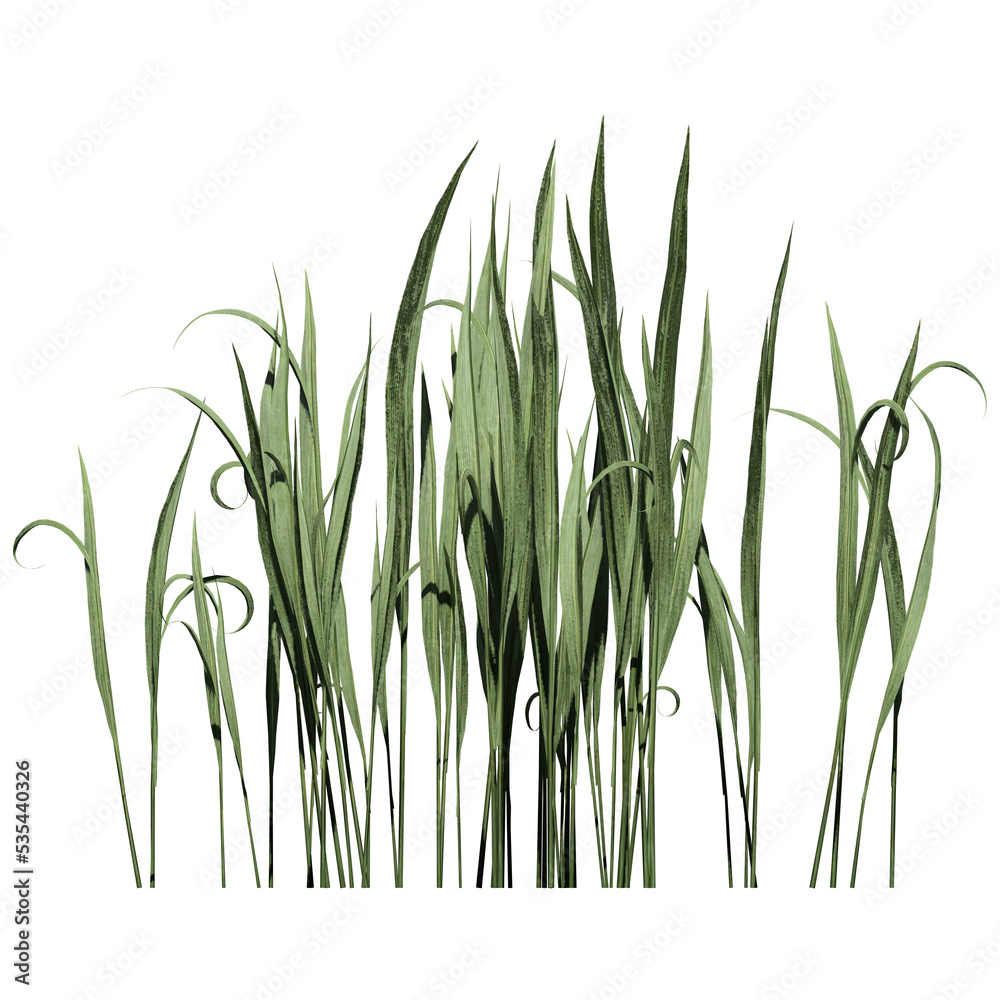 Fantasy Grass Cluster - Front View Stock Photo | Adobe Stock