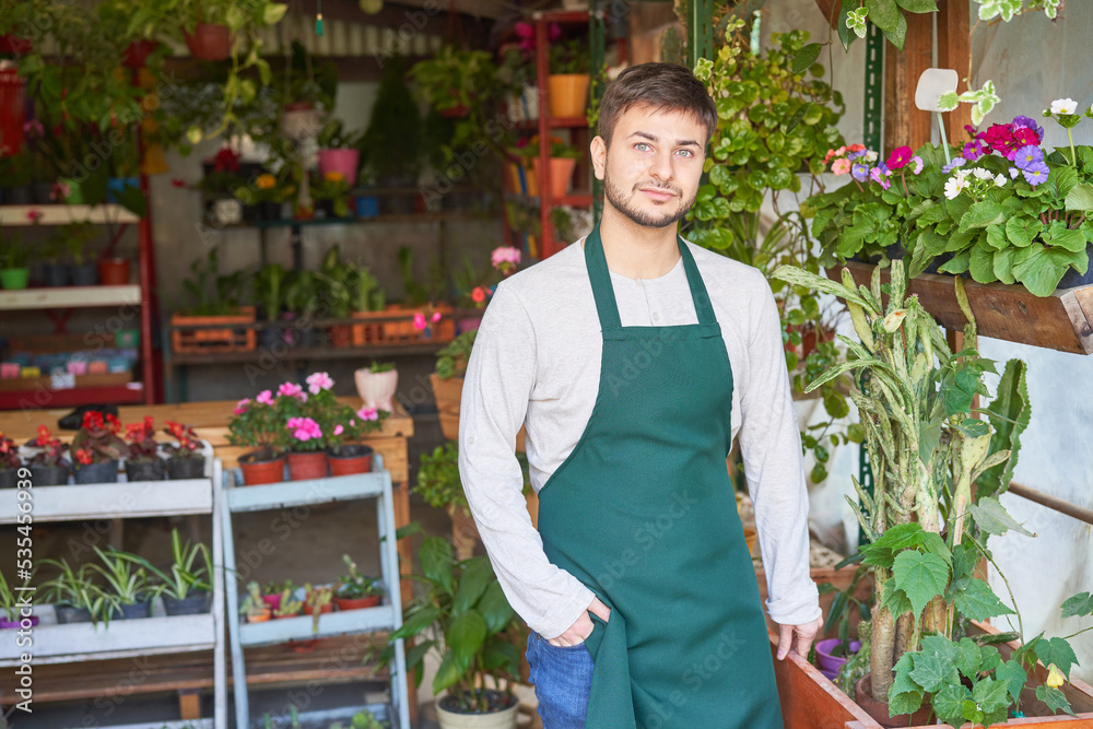 Florist in der Ausbildung im kleinen Blumenladen Stock Photo | Adobe Stock