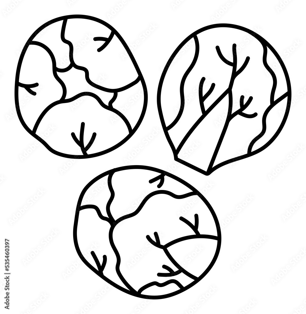Brussels sprouts. Vegetable sketch. Thin simple outline icon. Black ...