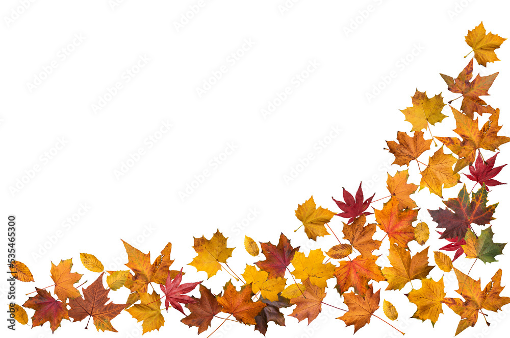 October Leaves Border