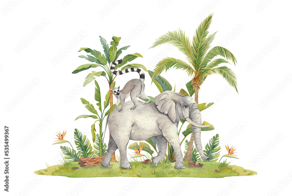 Composition of the safari wildlife. Illustration with an elephant and a ...
