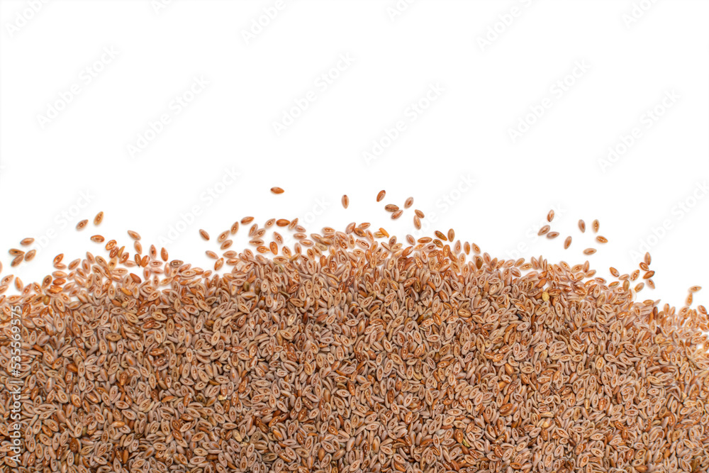 Plantago Ovata Seeds Isolated, Psyllium Husk, Isabgol Ispaghula Stock ...