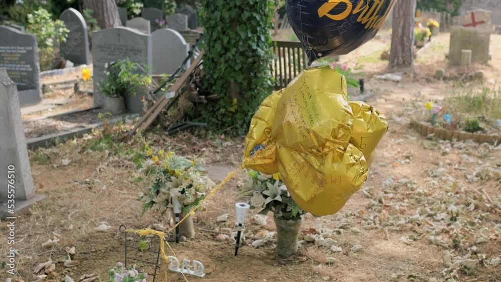 Vídeo do Stock: Old Abandoned Cemetery On Summer Day. Grave in ...