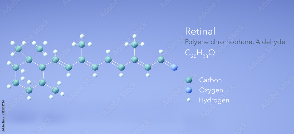 retinal, molecular structures, Polyene chromophore, 3d model ...