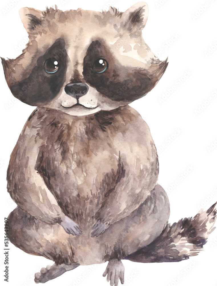 Watercolor Cute Raccoon Illustration, Wild Animals Sublimation PNG ...