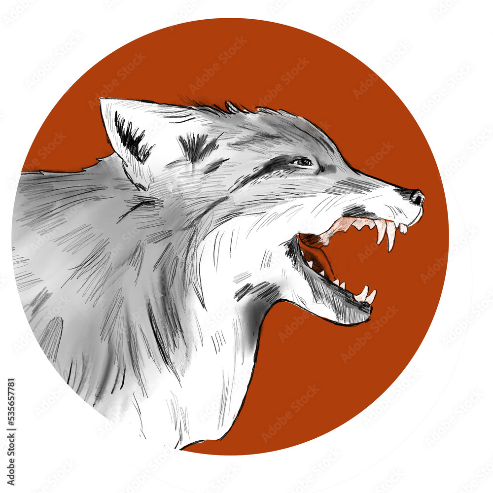 Fox Fight: Illustration of a vicious fox in a circle frame. Stock ...