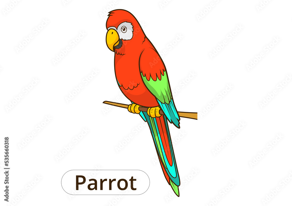Parrot cartoon PNG illustration with transparent background Stock ...