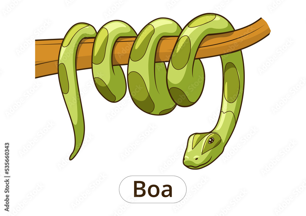 Boa snake cartoon PNG illustration with transparent background Stock ...