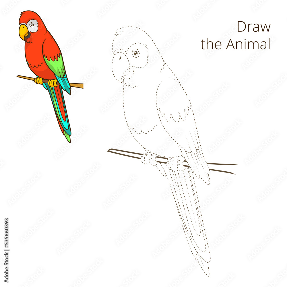 Draw the animal parrot educational game PNG illustration with ...