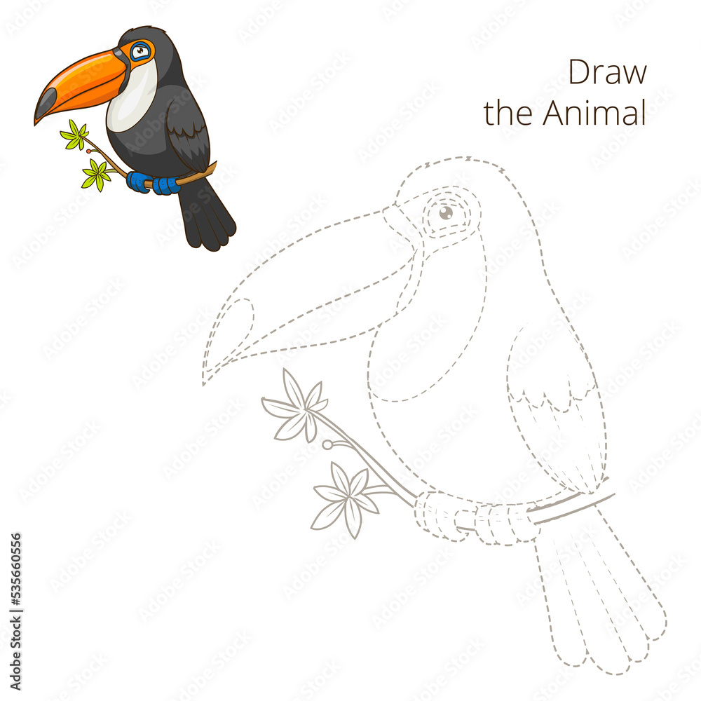 Draw the animal toucan educational game PNG illustration with ...