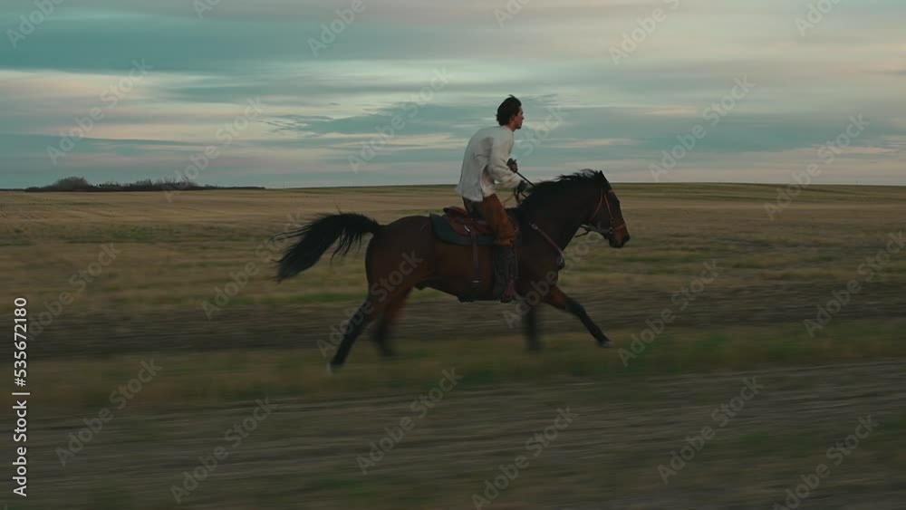 Man galloping a horse in a field Stock Video | Adobe Stock