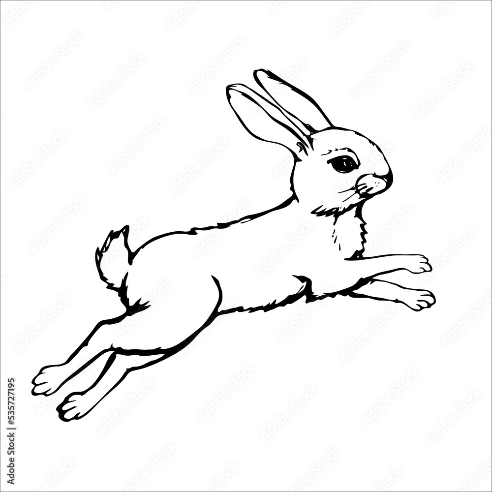 Black outline rabbit Stock Illustration | Adobe Stock