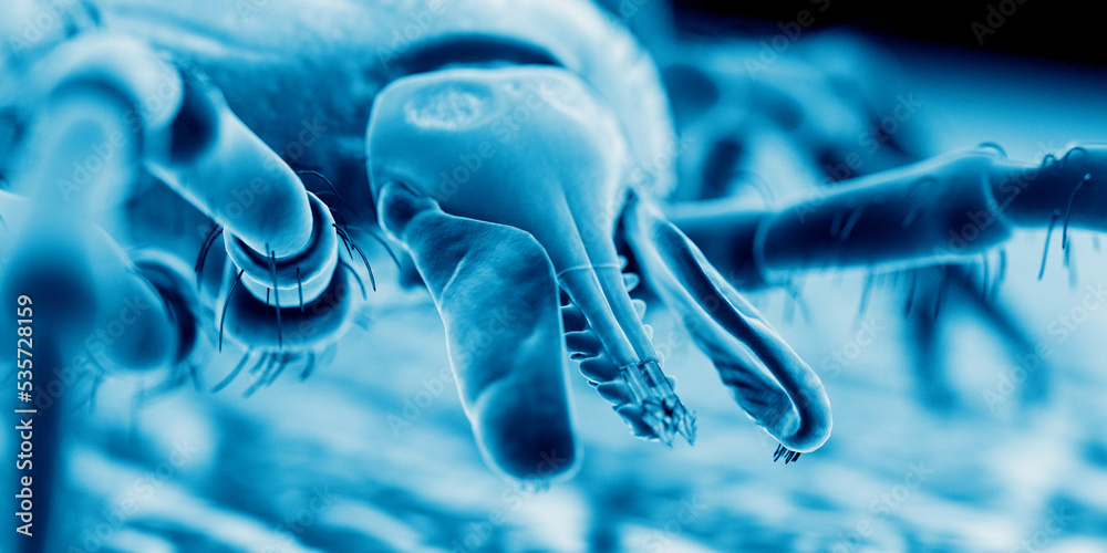 3d rendered illustration of a tick on human skin, sem style Stock ...