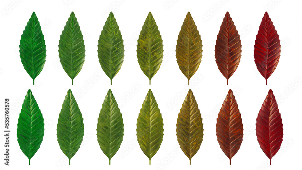 changing color leaves isolated on transparent background (3D Rendering ...