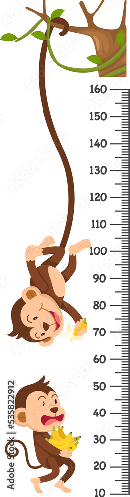 Meter wall with animal cartoon vector illustration Stock Illustration ...