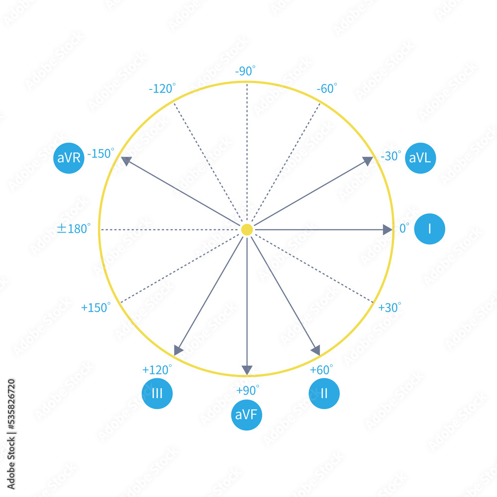 In the frontal lead system, the lead axes of the 6 limb leads form a ...