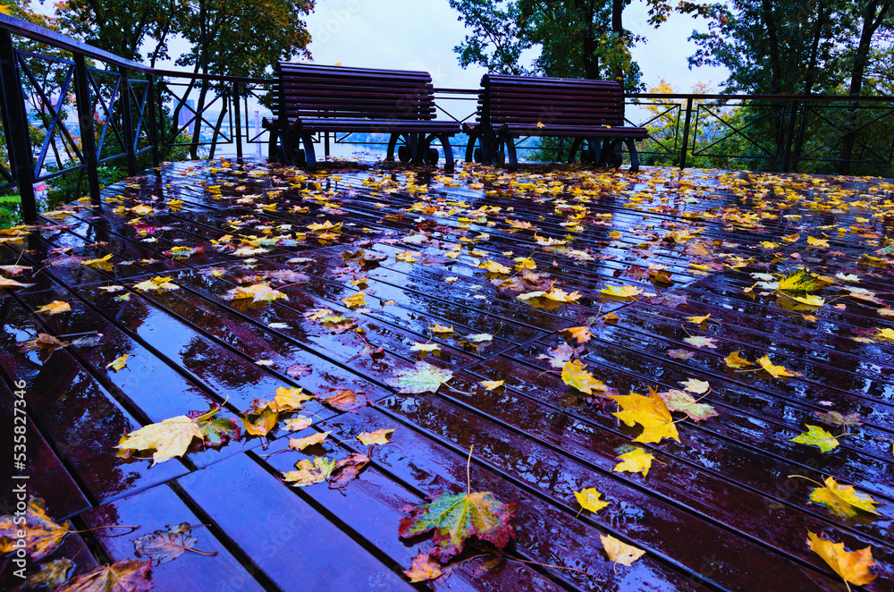 Low-angle landscape view of empty wooden benches in the observation ...