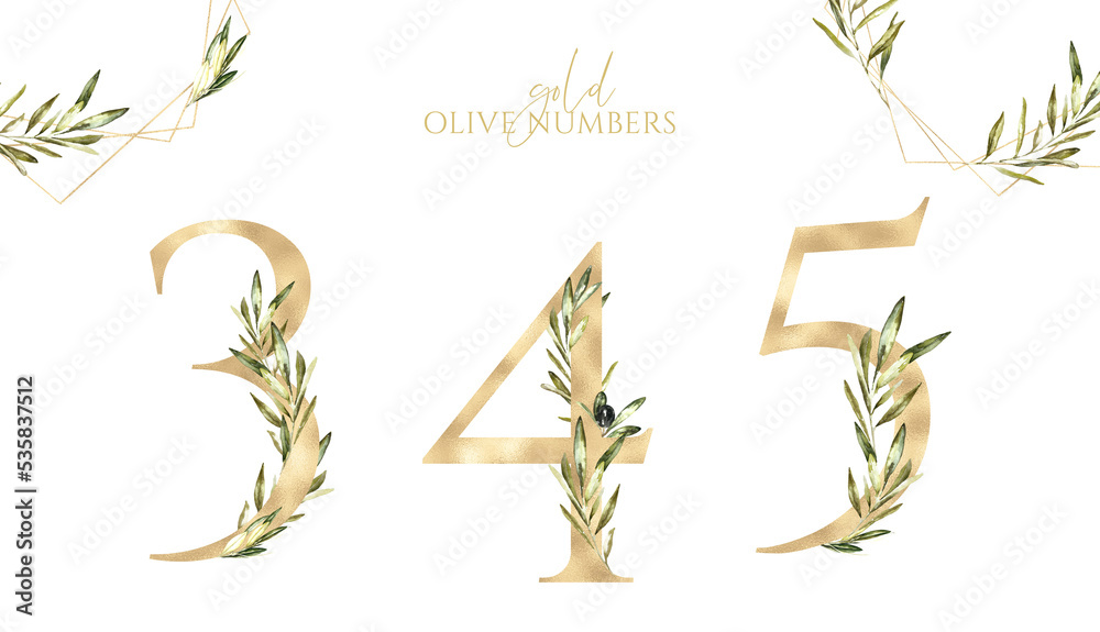 Watercolor olive numbers 3,4,5 illustration. Greenery leaves,branch ...