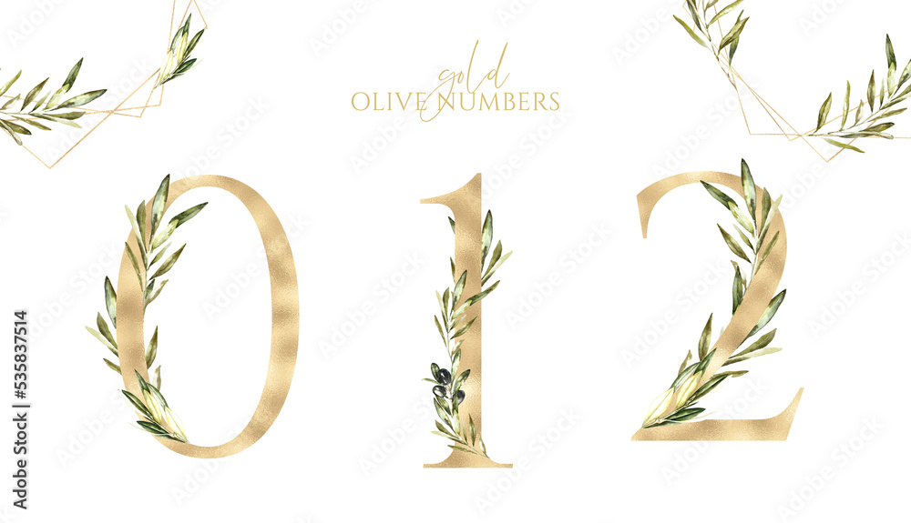 Watercolor olive numbers 0,1,2 illustration. Greenery leaves,branch ...