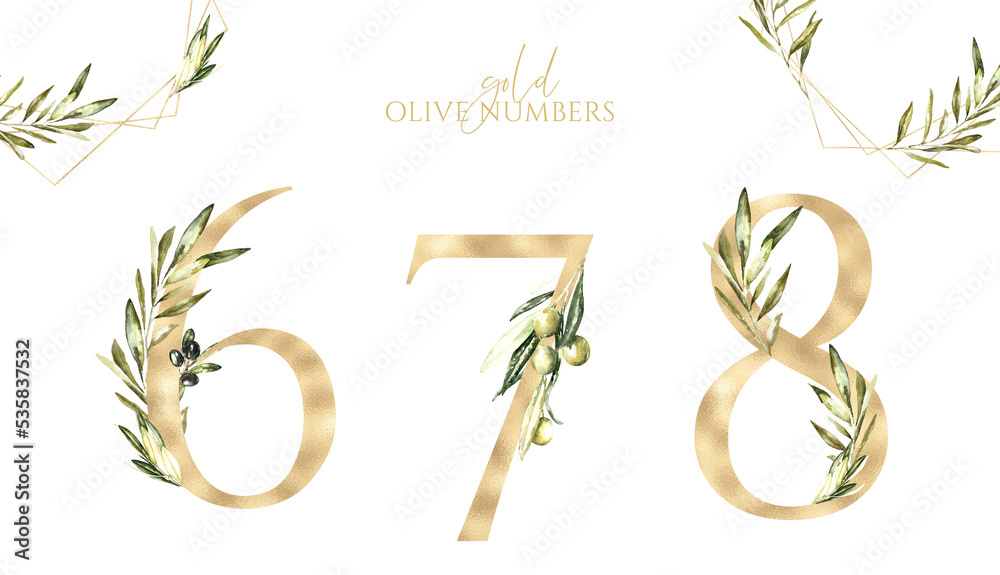 Watercolor olive numbers 0,1,2 illustration. Greenery leaves,branch ...
