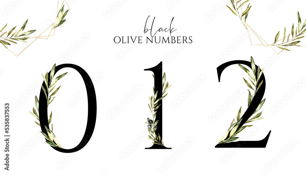 Watercolor olive numbers 0,1,2 illustration. Greenery leaves,branch ...