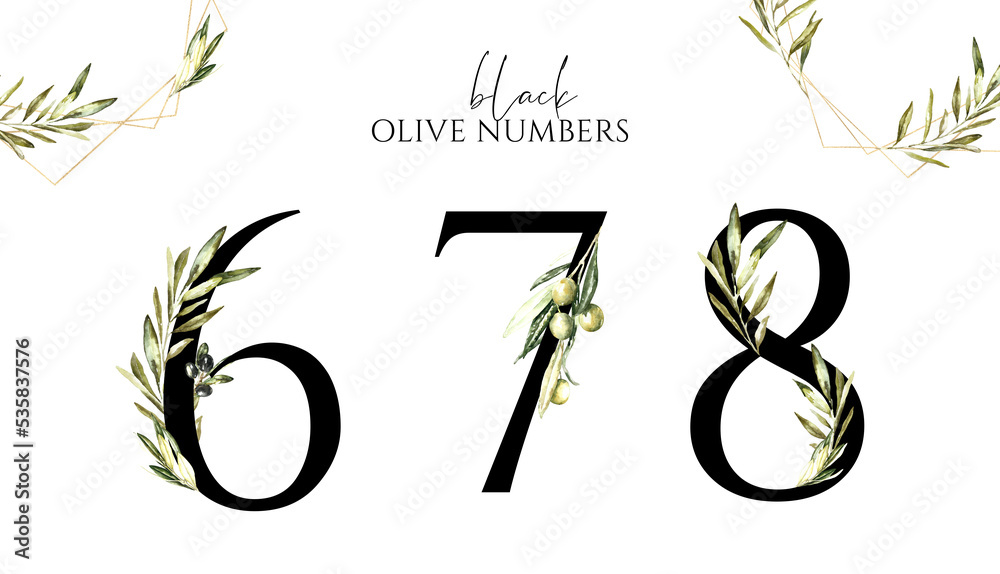 Watercolor olive numbers 6,7,8 illustration. Greenery leaves,branch ...